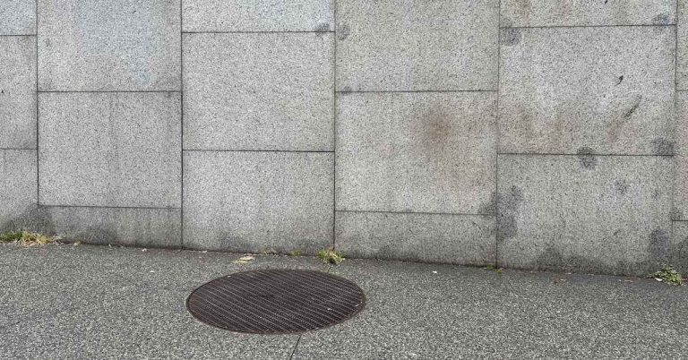 The Ring Filming Locations: Key Movie Filming Spots Revealed